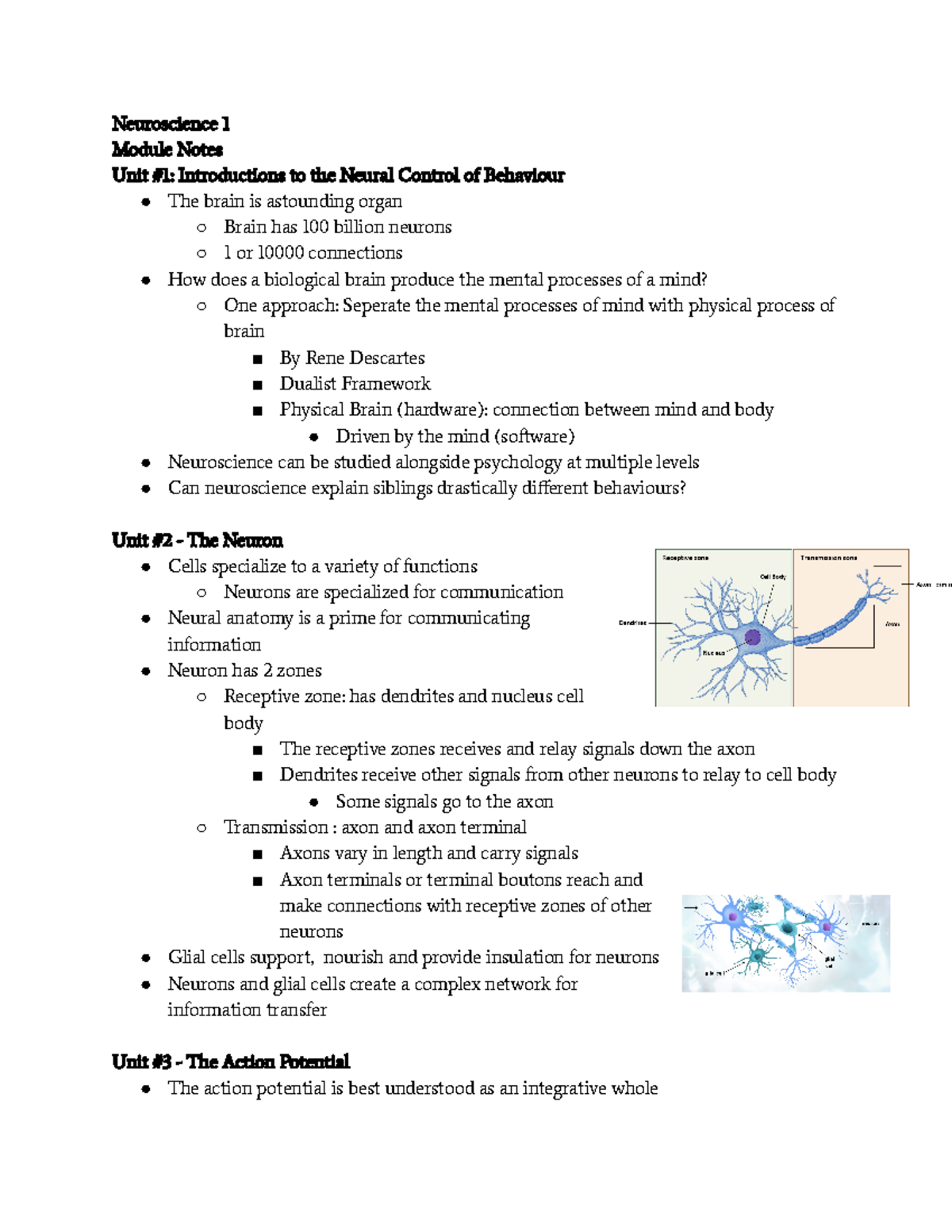 Neuroscience 1 - module + textbook + chapter notes - Neuroscience 1 ...