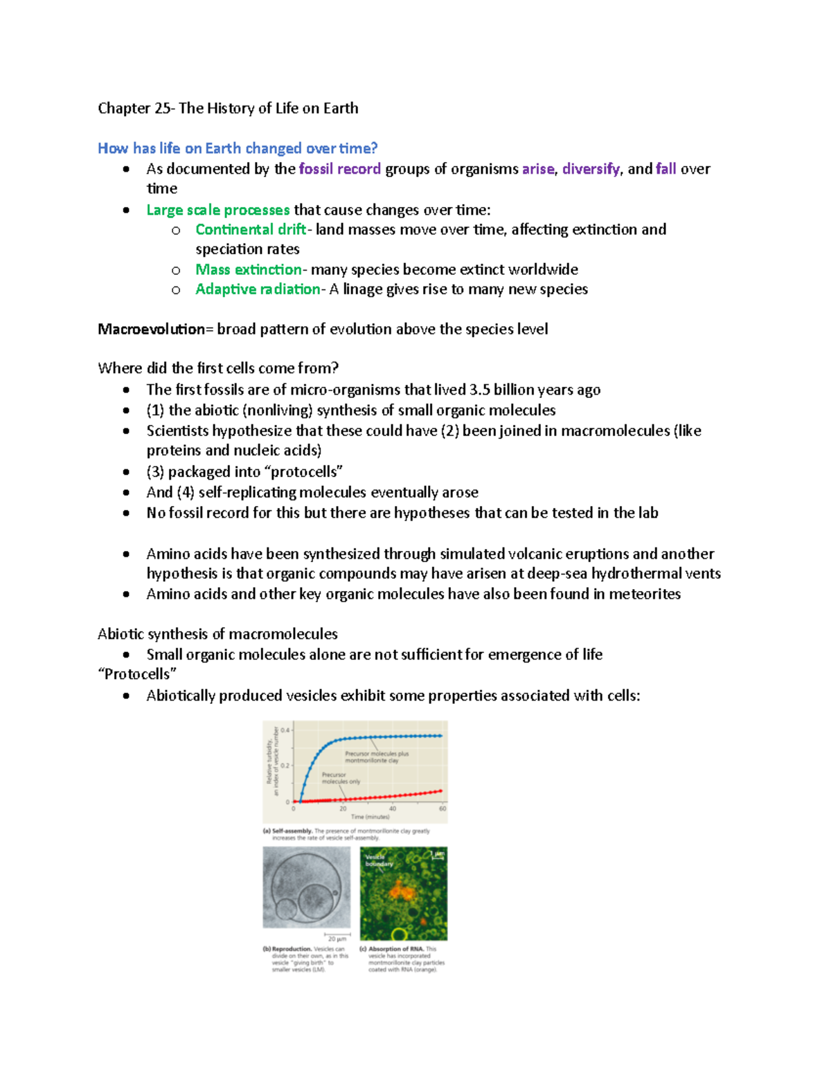 Biology notes chapter 25 - Chapter 25- The History of Life on Earth How ...