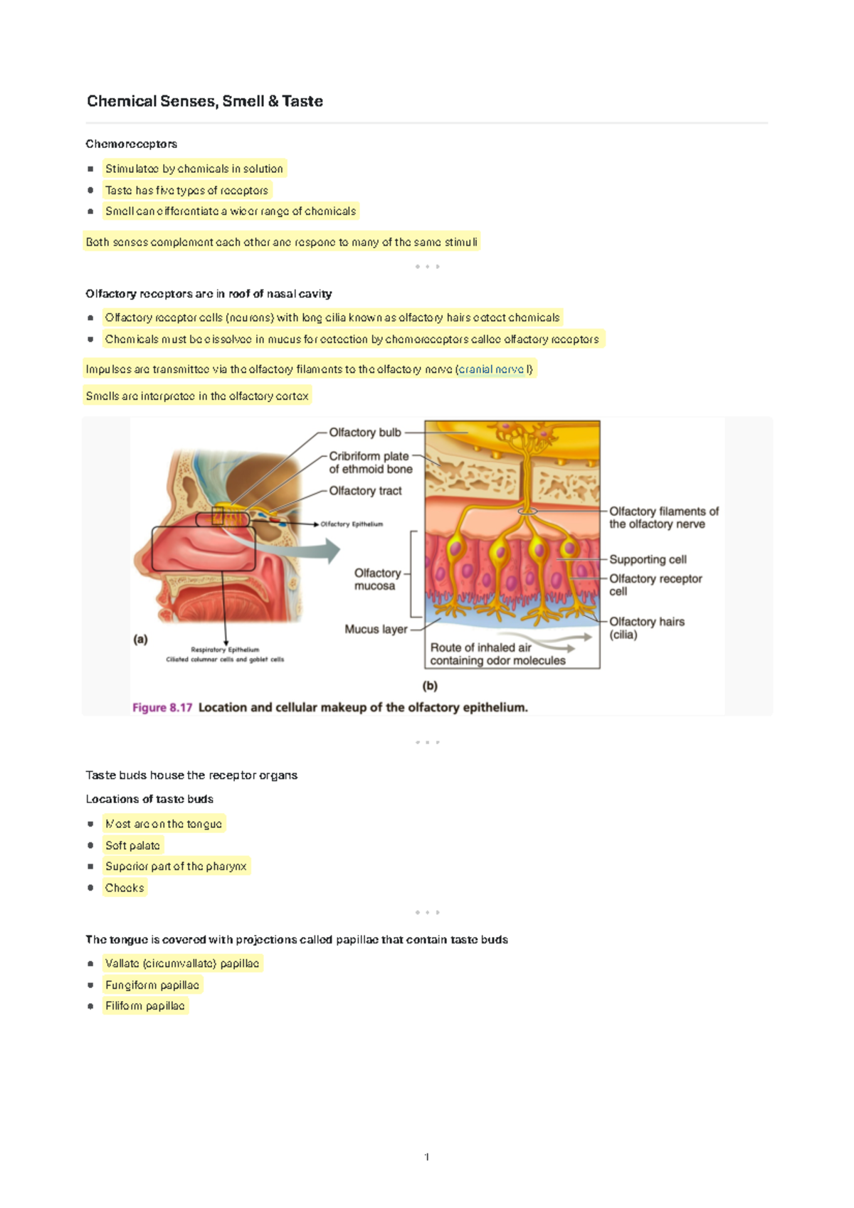 Chemical Senses, Smell and Taste - Chemical Senses, Smell & Taste ...