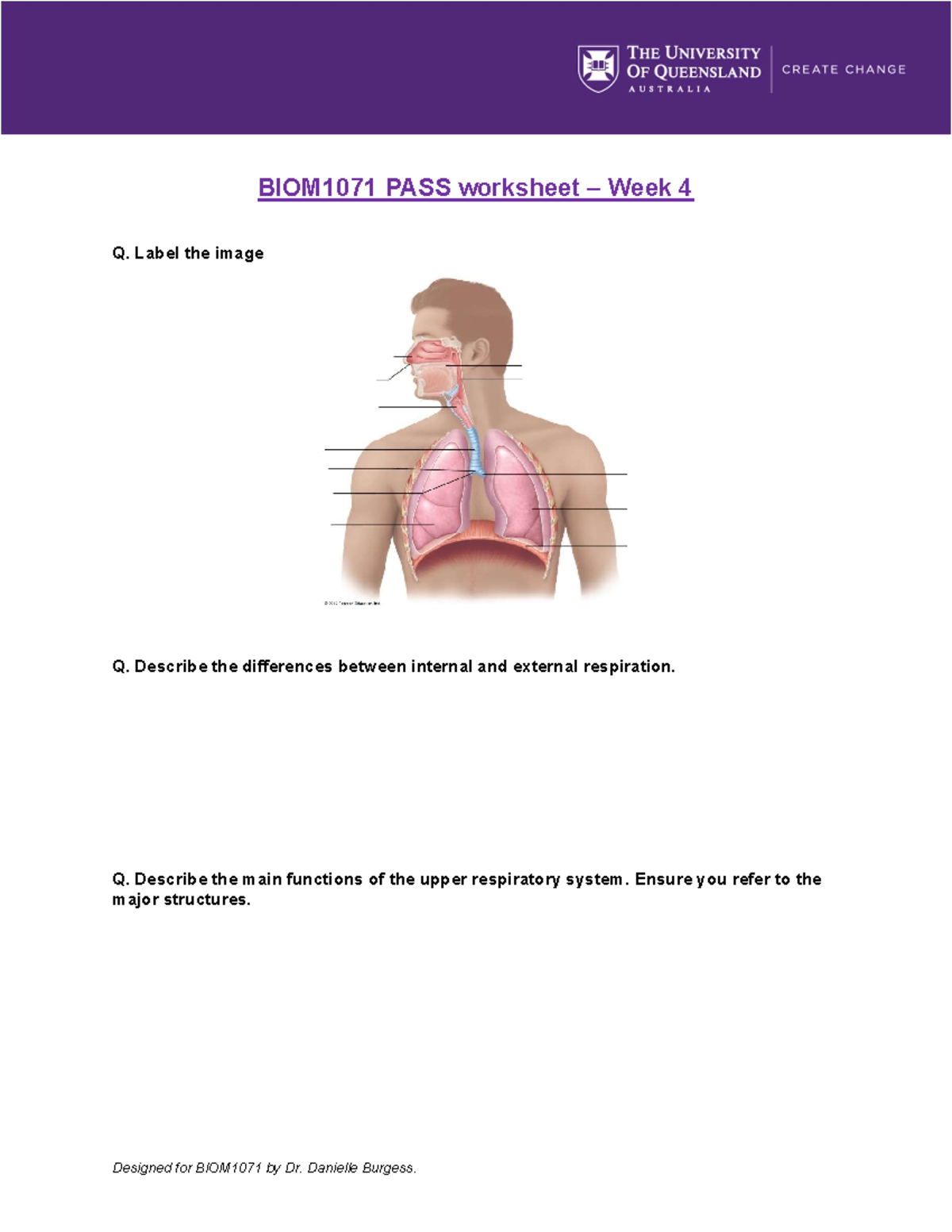 Week 4 - Respiratory 1 - PASS Class Notes - BIOM1071 PASS worksheet ...