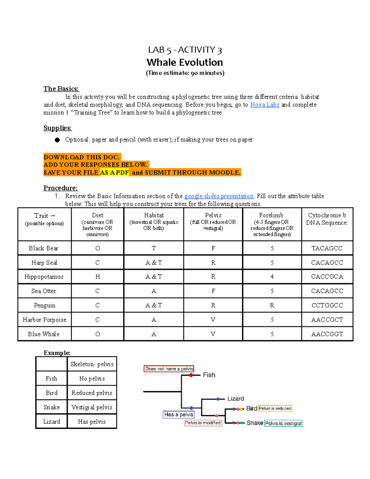 Copy of Lab5activity 3 Whaleevolution - LAB 5 - ACTIVITY 3 Whale ...