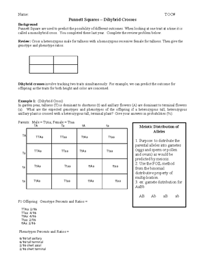 Video Recap of DNA - Amoeba Sisters Video Recap- DNA, Chromosomes ...