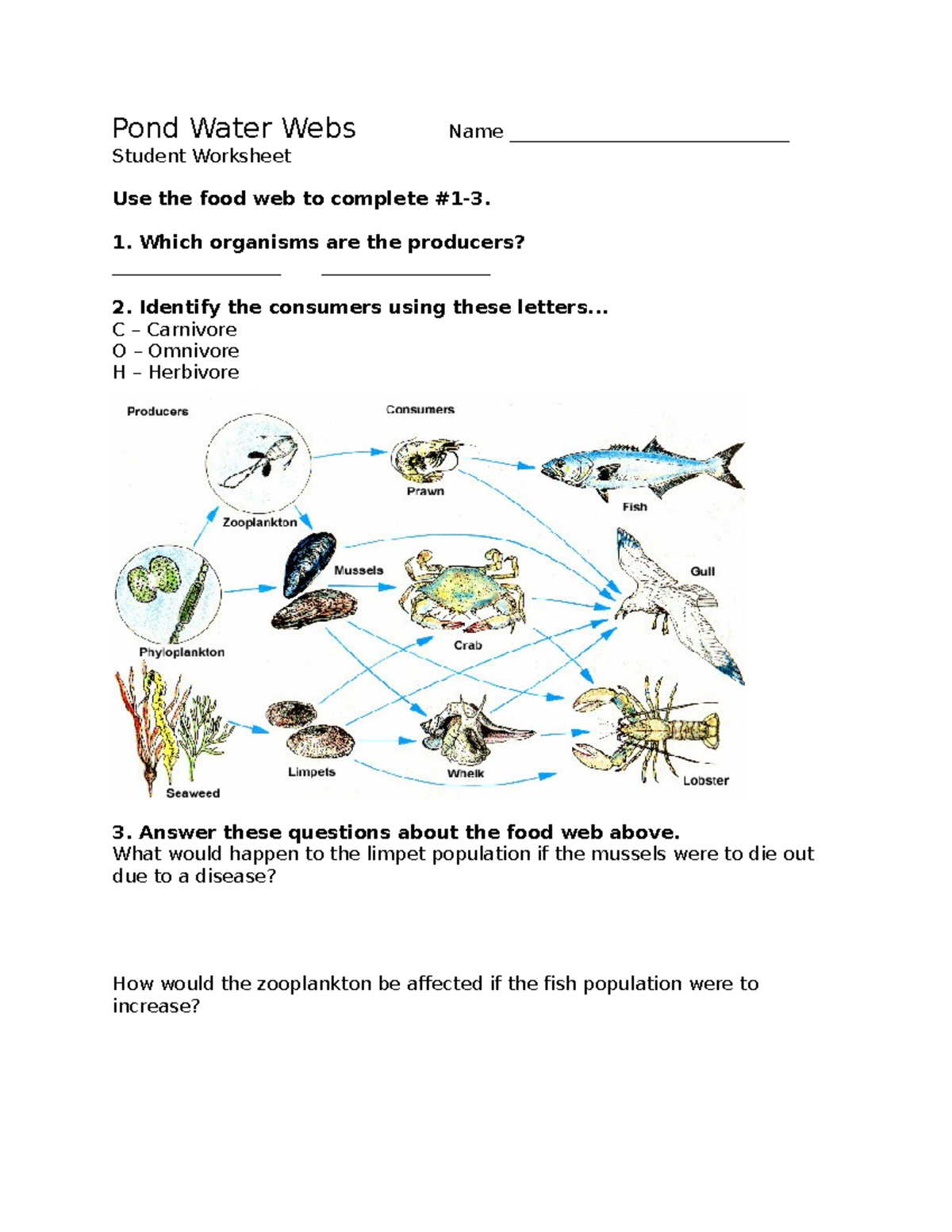 Pond Water Webs student worksheet - Pond Water Webs Name ______________________________ Student ...