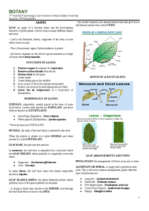 Botany - BOTANY: MODULE 2 [ PHARMACY ] Catrish Matix NATURAL PRODUCTS Anything that is produced ...