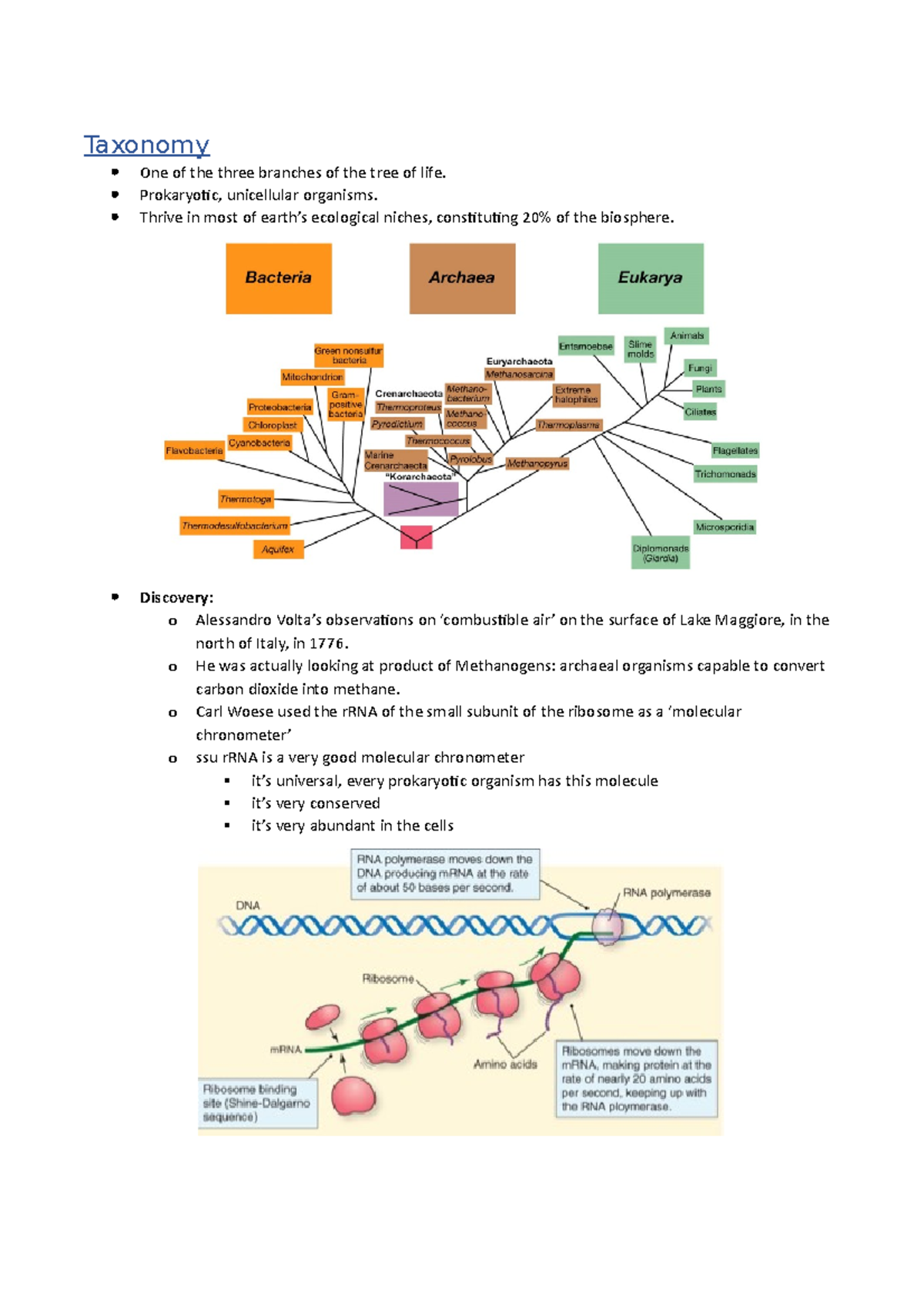 Archaea - Lecture notes 6 - Taxonomy One of the three branches of the ...
