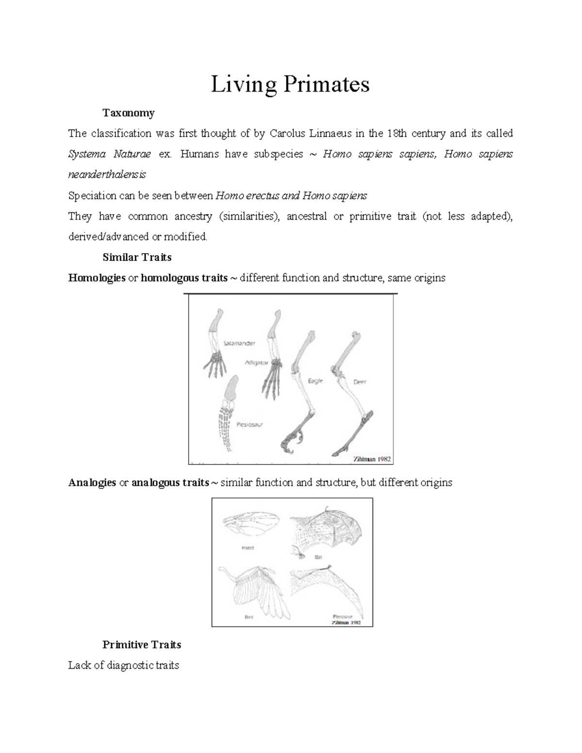Living Primates - Living Primates Taxonomy The classification was first ...