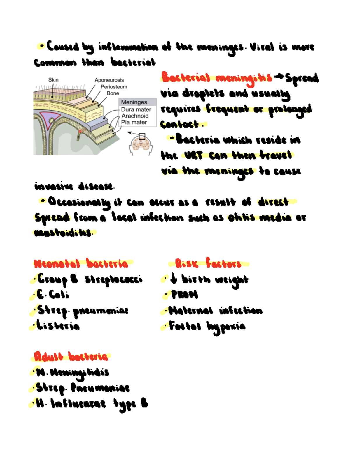 Meningitis - Pathogenesis, microbiology, treatment, diagnosis and ...