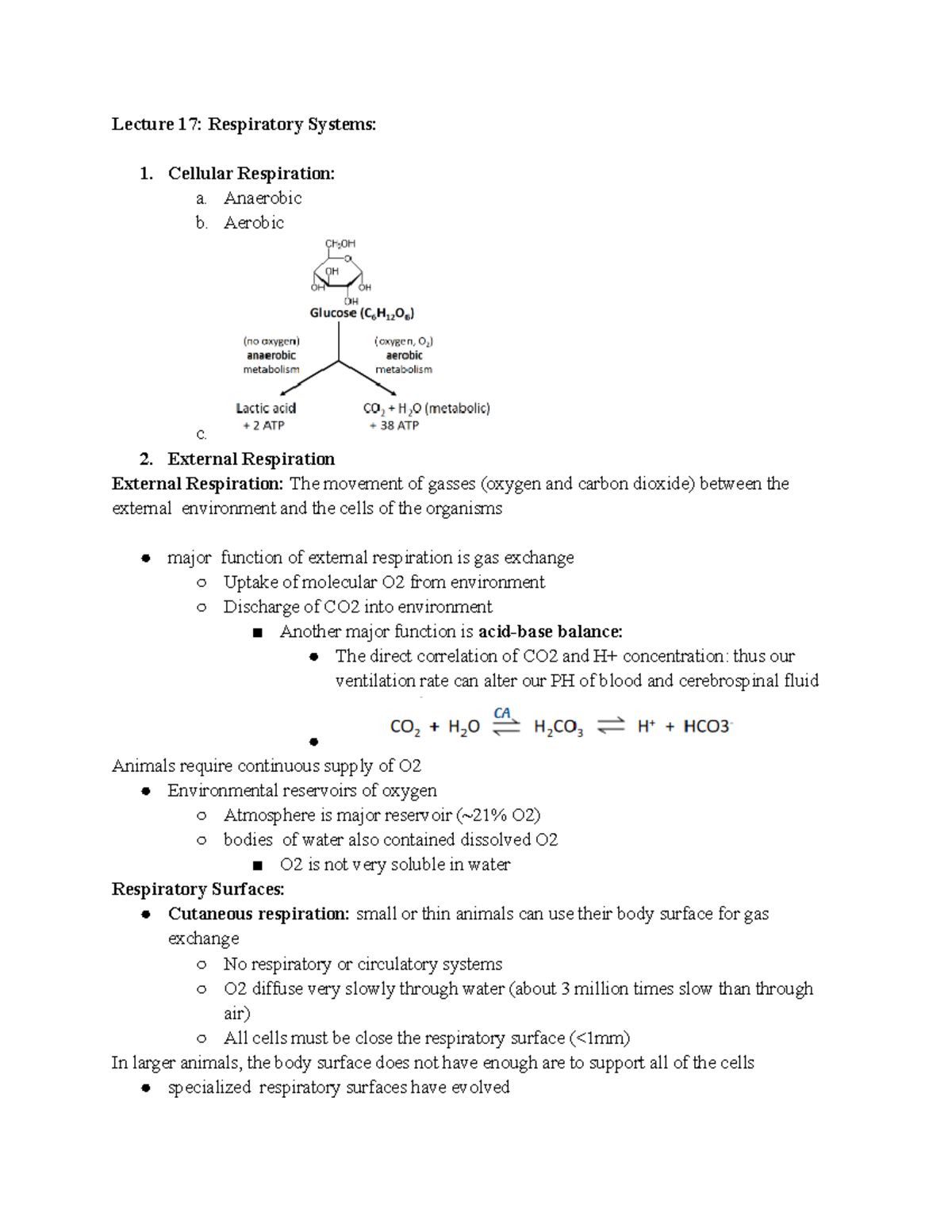 Final study guide Respiratory - Lecture 17: Respiratory Systems: 1 ...