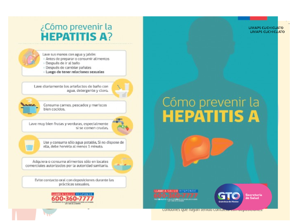 Folleto Hepatitis - Literatura II - UMAPS CUCHICUATO UMAPS CUCHICUATO - Studocu