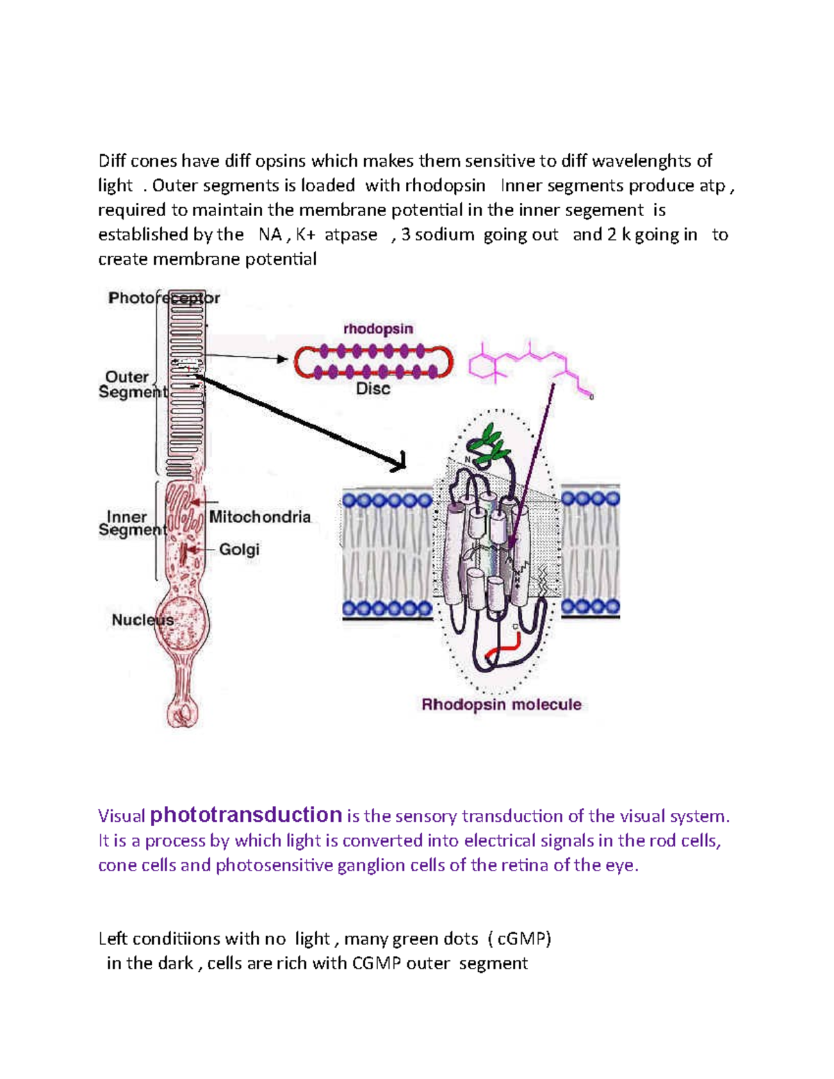 Biochem amio - Lecture notes 1-2 - - Studocu