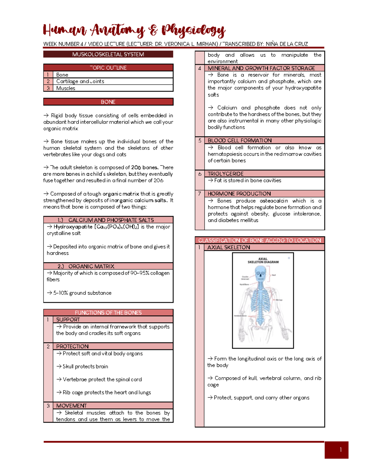 4 - Musculoskeletal System - WEEK NUMBER 4 / VIDEO LECTURE (LECTURER ...