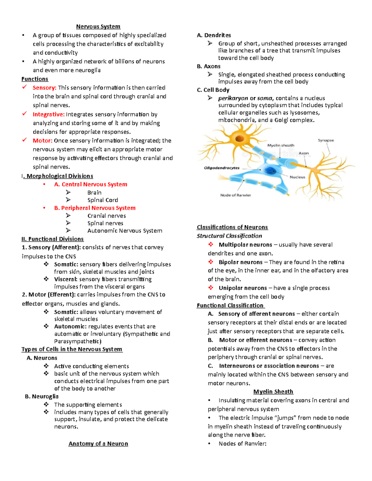 Nervous System midterm 1 - Nervous System A group of tissues composed ...