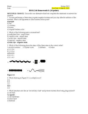 BIOL210 Morphological Unknown Report 2022 - Viewing the slide under the ...