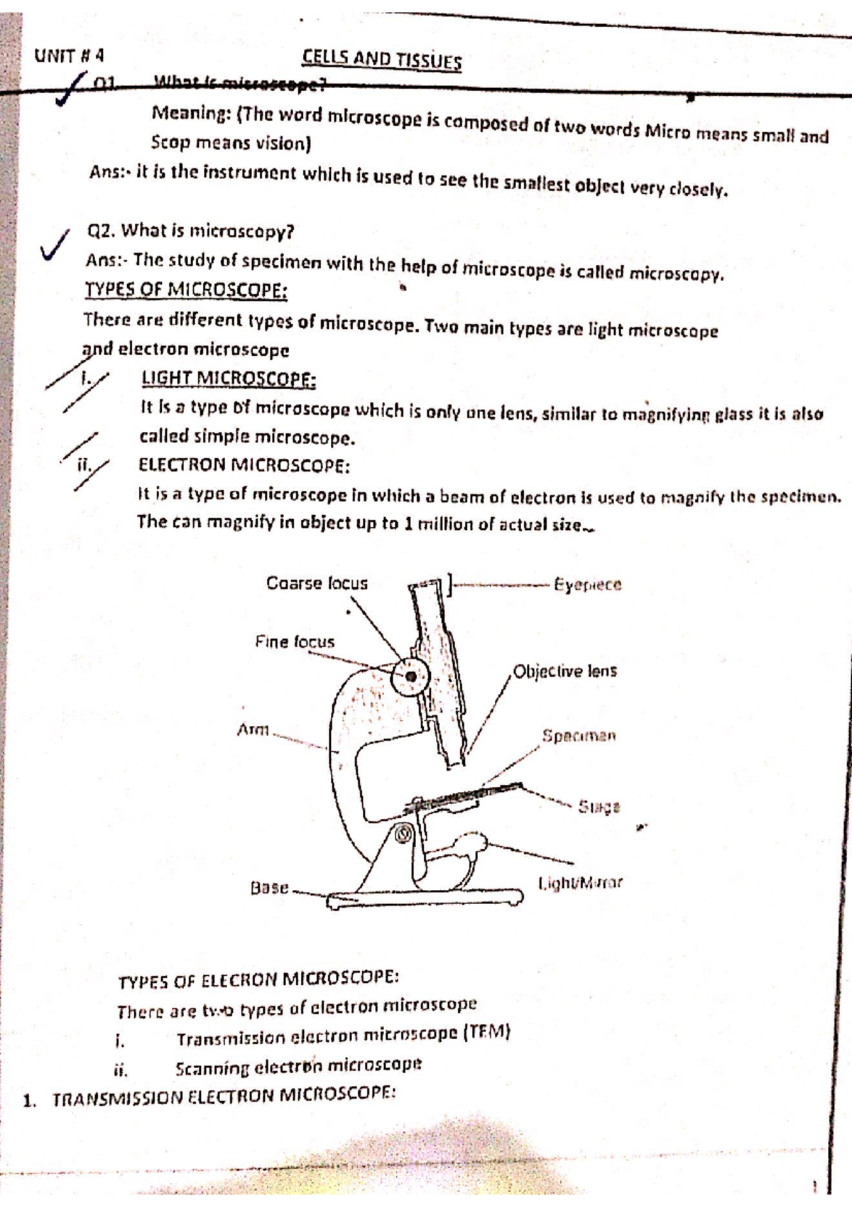Cell and tissue - Biochemistry - Studocu