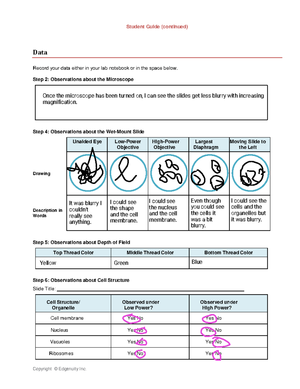 Microscope Lab - A lab on Edgenuity for biology science - Student Guide ...