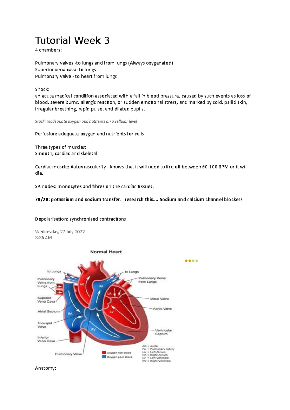 Path and Pharma 2 Tutorial Week 3 - Tutorial Week 3 4 chambers: Pulmonary valves -to lungs and ...