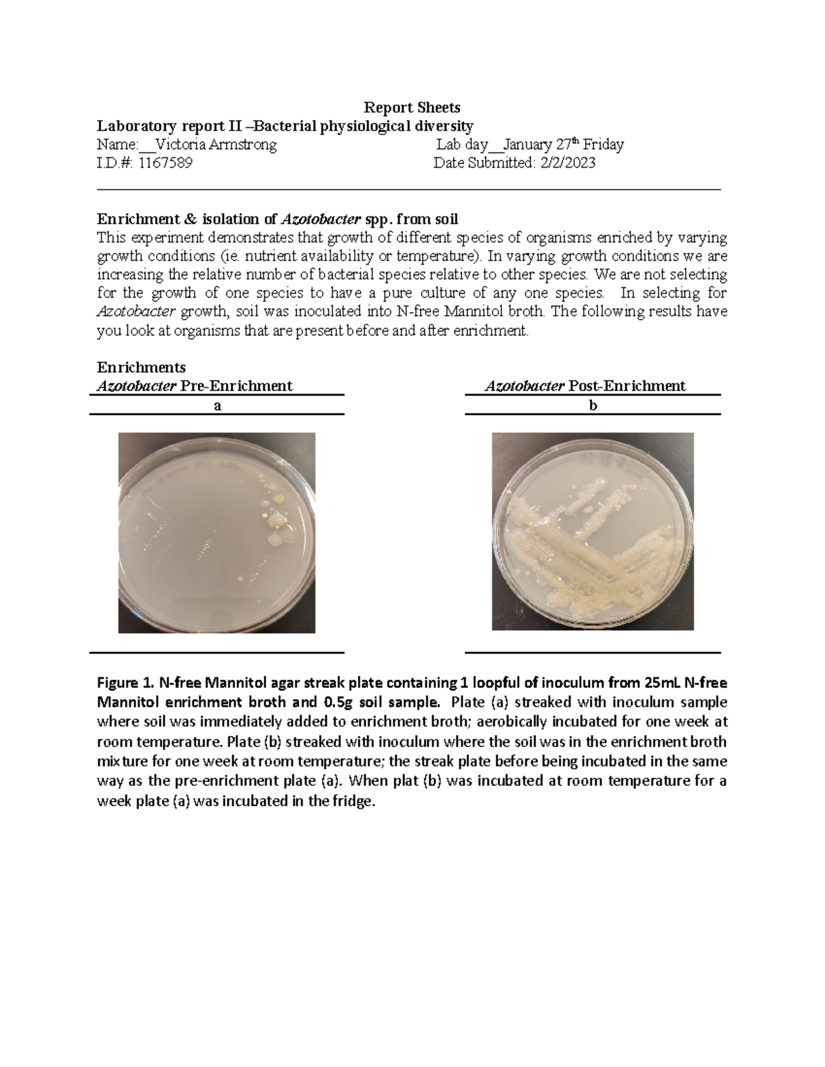 Lab 2 Report Sheets - Report Sheets Laboratory report II –Bacterial ...