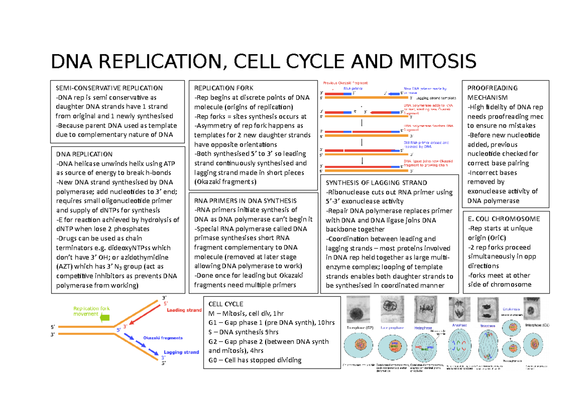 8. DNA Replication, CELL Cycle AND Mitosis - DNA REPLICATION, CELL ...