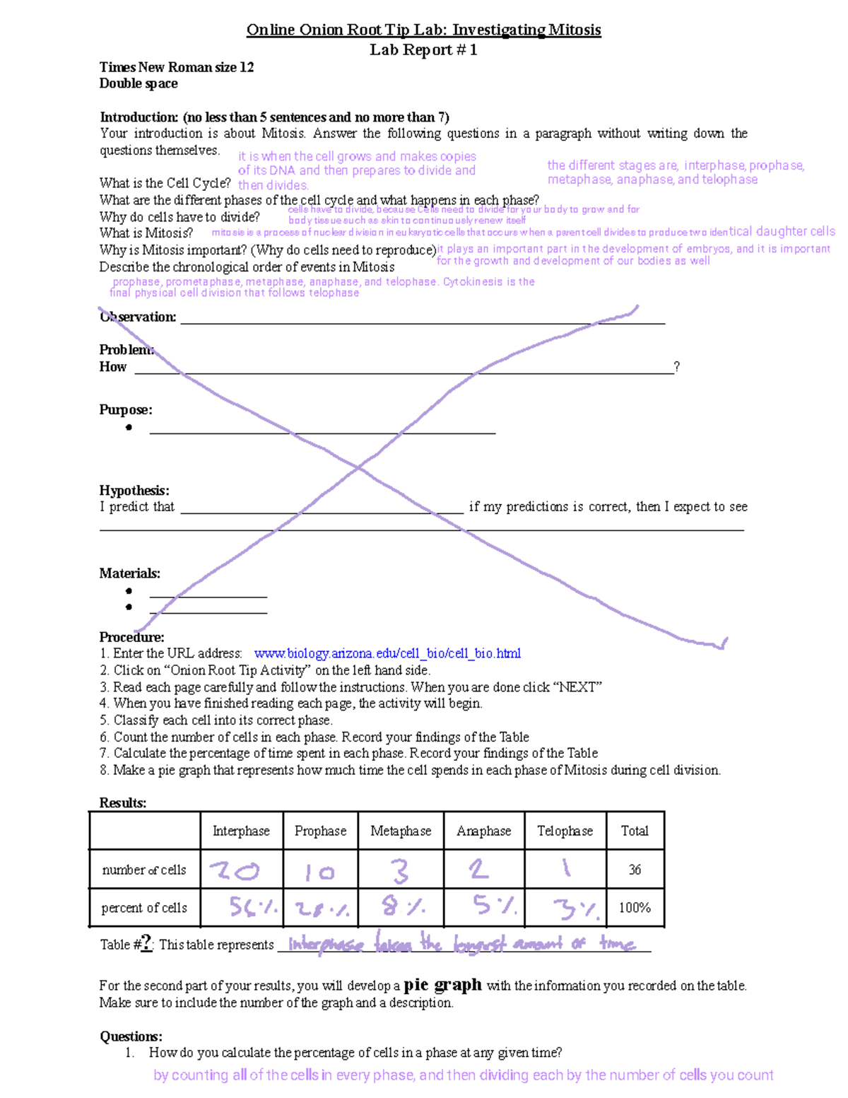Kami Export - Online Onion Root Tip Lab - Online Onion Root Tip Lab ...