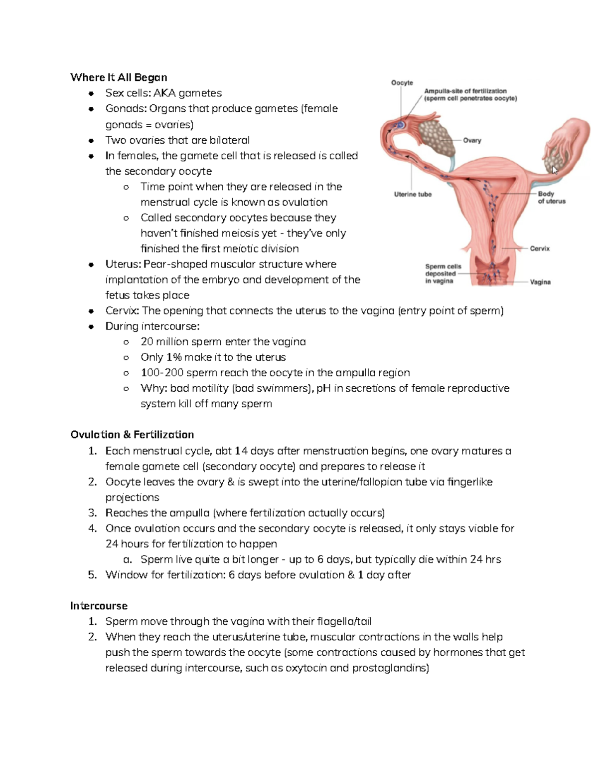 Lecture 3 - Embryology Pt 1 - Where It All Began Sex cells: AKA gametes ...
