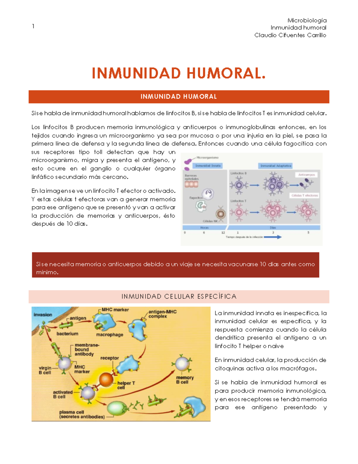 12. Inmunidad Humoral - Inmunidad humoral Claudio Cifuentes Carrillo 1 ...