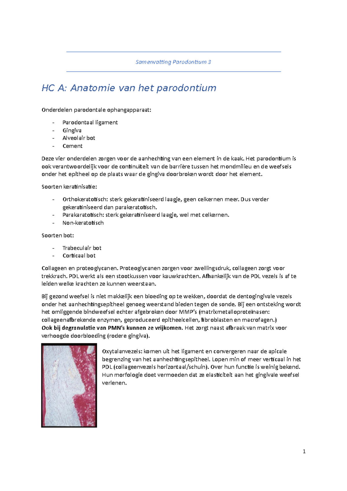 Samenvatting Parodontium 3 - Het parodontium is ook verantwoordelijk ...