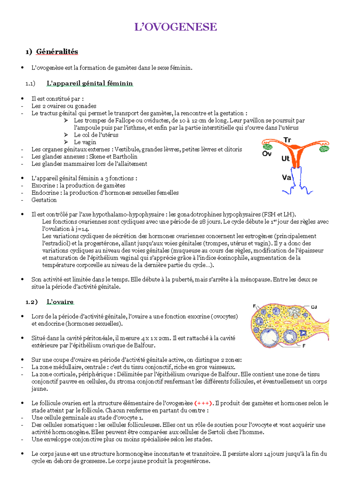 L' ovogenese (biologie) - L’OVOGENESE 1) Généralités L’ovogenèse est la ...