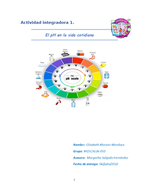 M22PI - Proyecto integrador modulo 22 - PProyecto Integrador:royecto ...