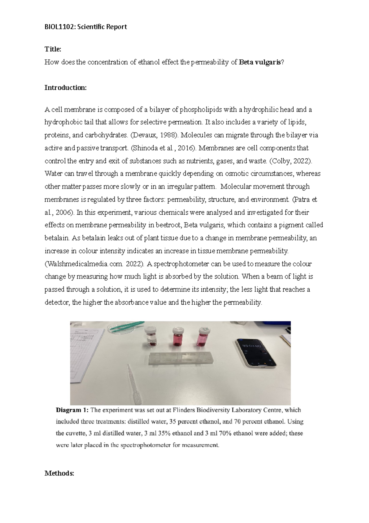 The Scientific Report. The Scientific Report - BIOL1102 - Flinders ...