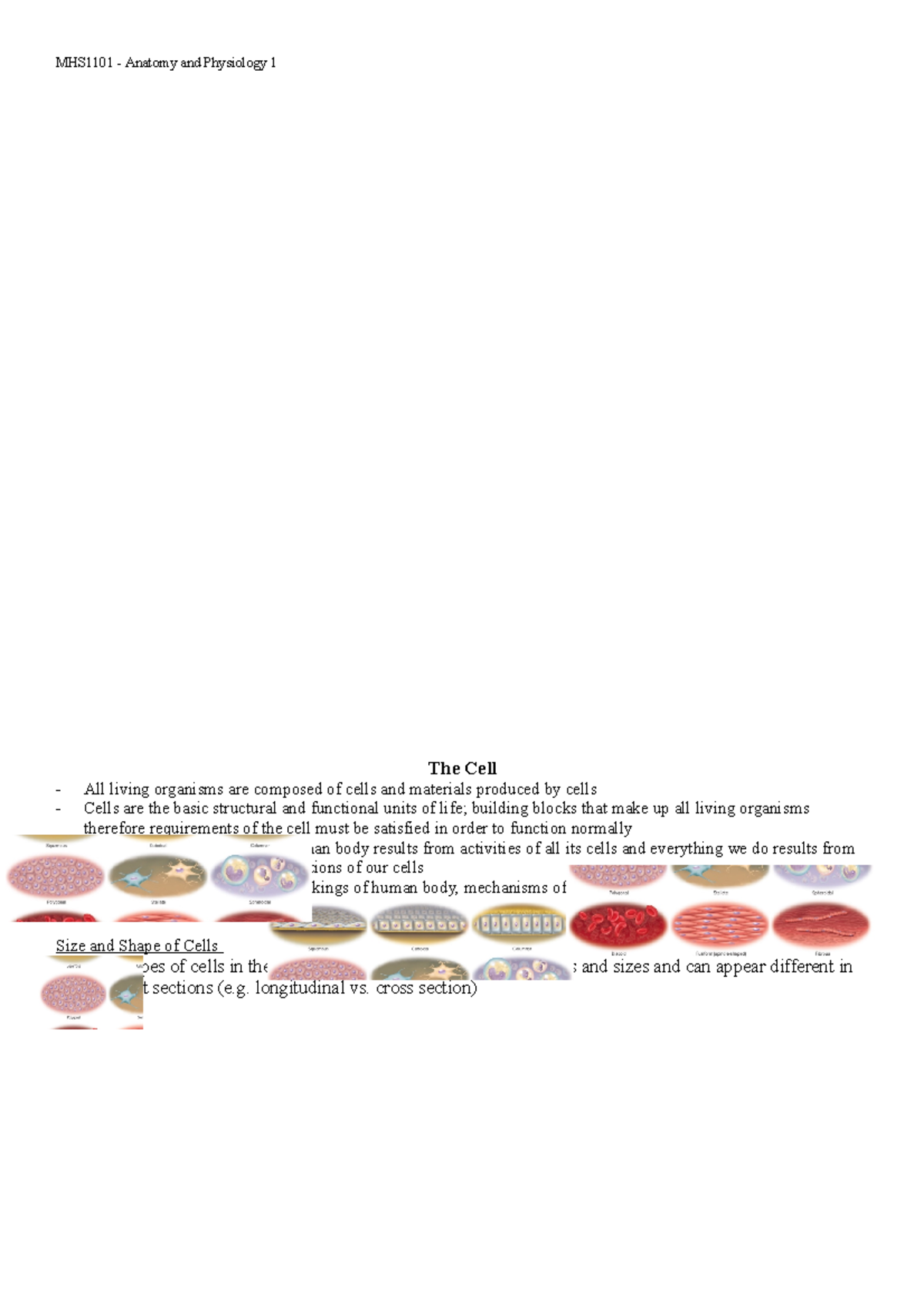 The Cell - basic description of a cell and core components including ...