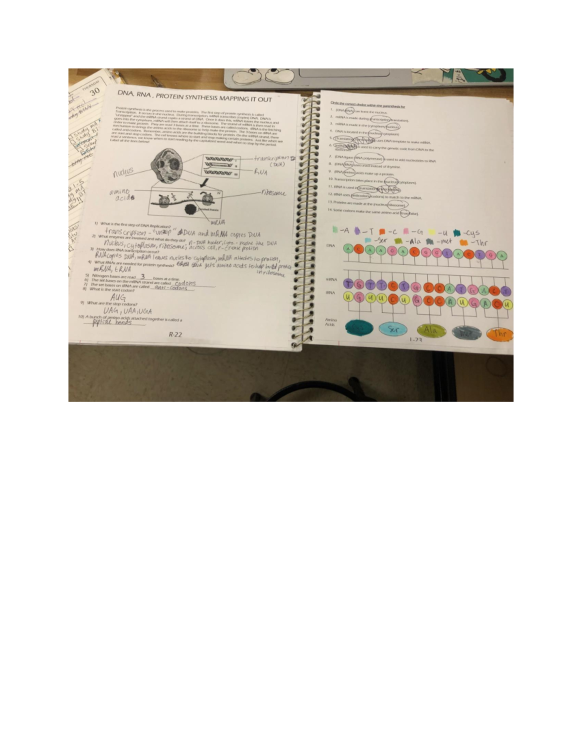 Notebook check 3 - BTNY 110 - Studocu