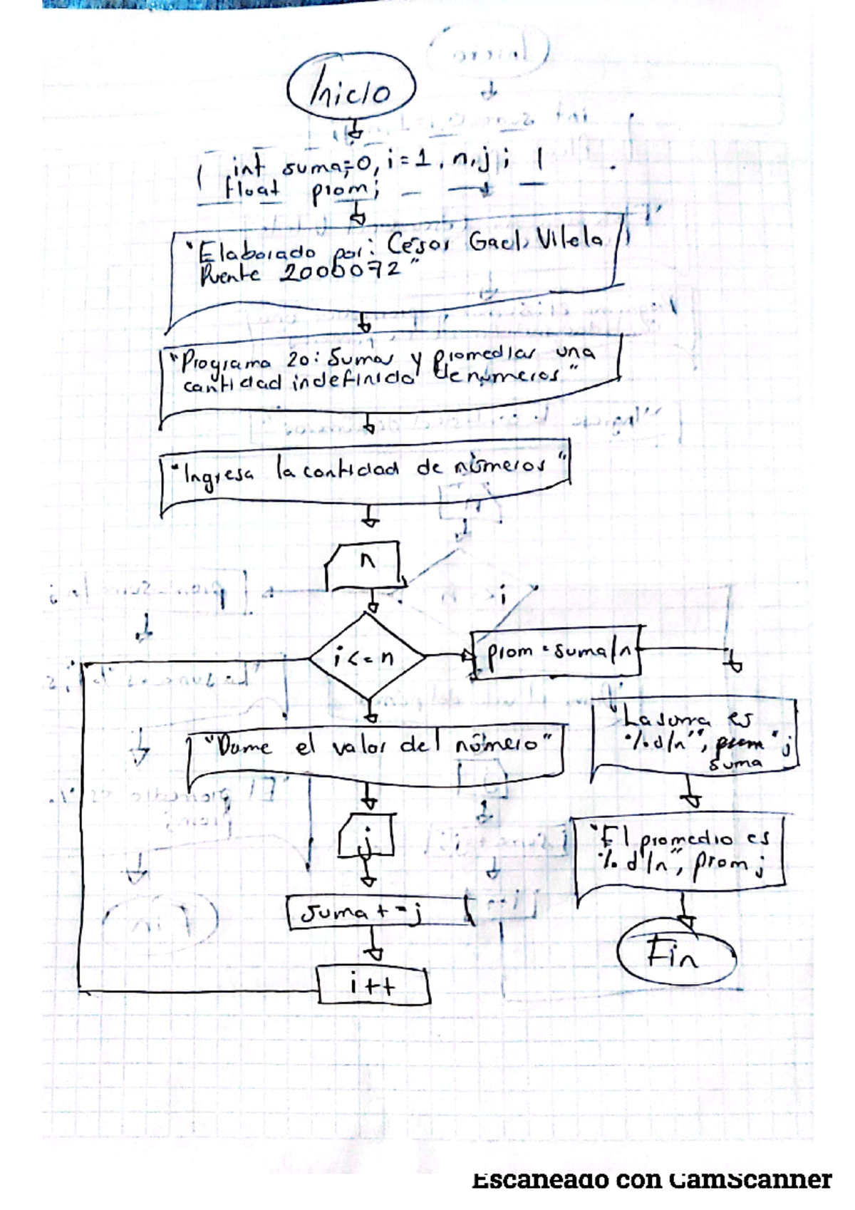 Diagramas de flujo (While, Do While, For) - Programacion web - Studocu