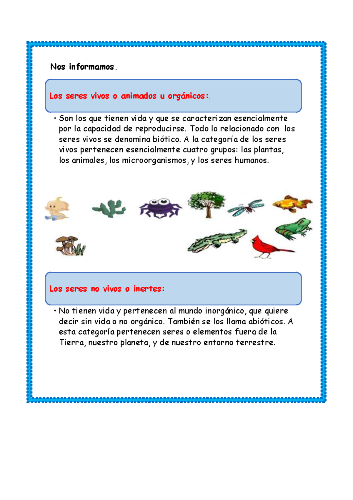 Los Seres Vivos E Inertes - Nos informamos. Los seres vivos o animados ...