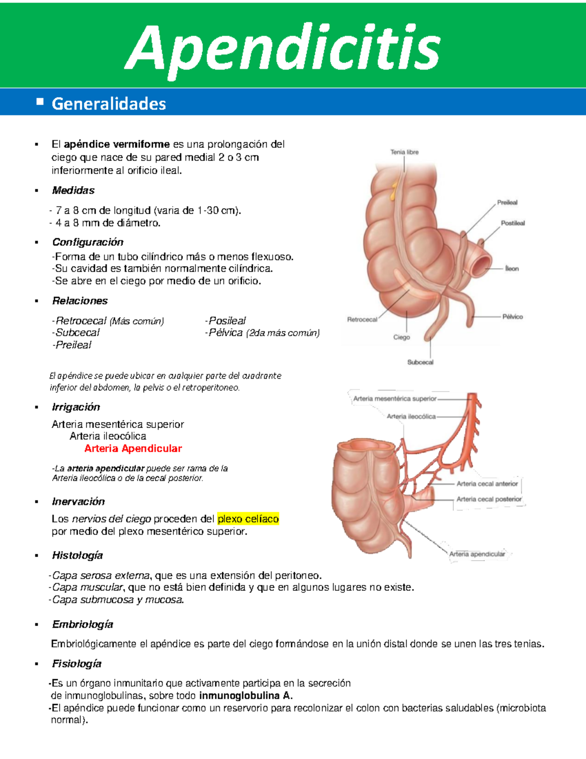 Apuntes Apendicitis - Apendicitis Generalidades El apéndice vermiforme ...