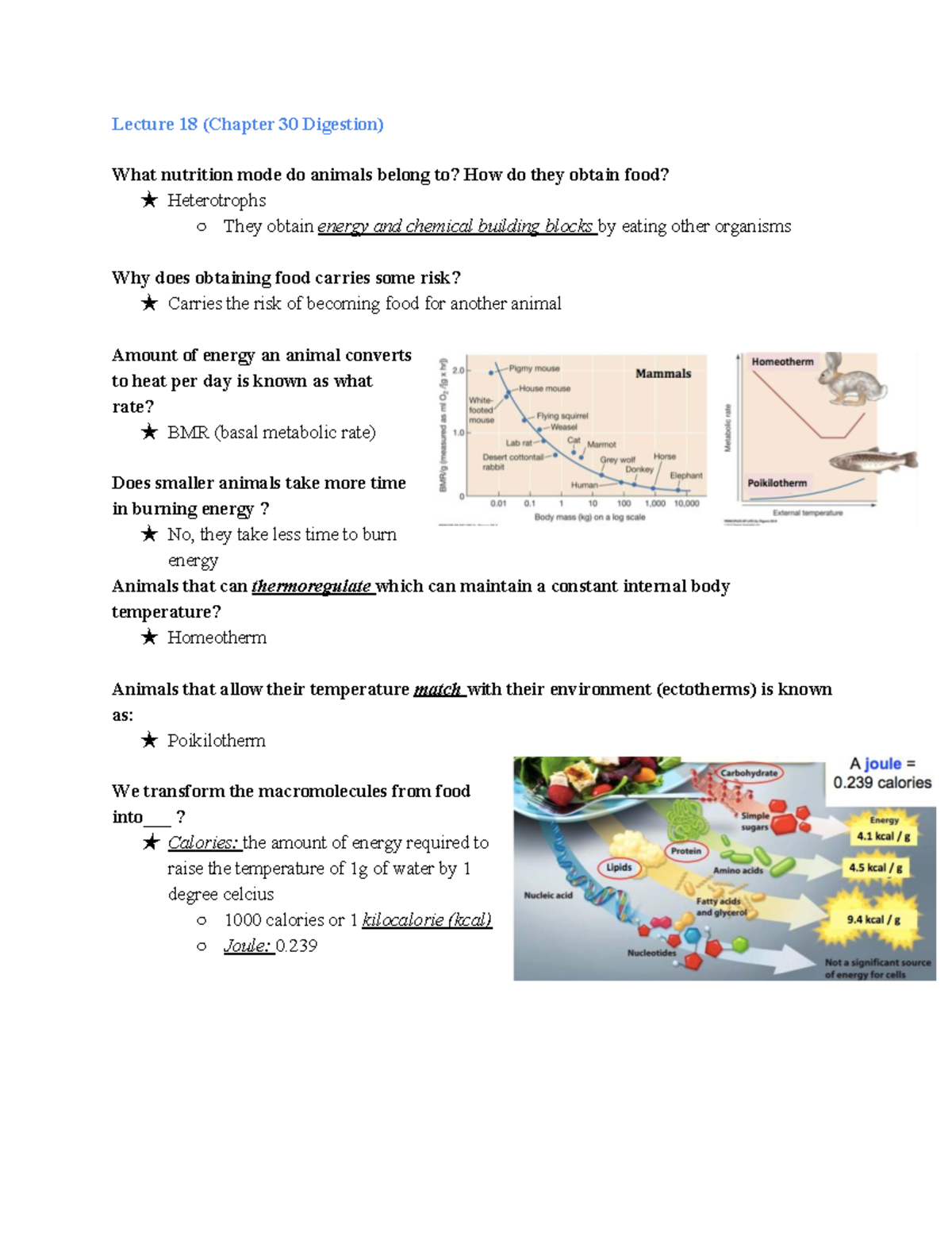 Lecture 18 Digestion - Lecture 18 (Chapter 30 Digestion) What nutrition ...