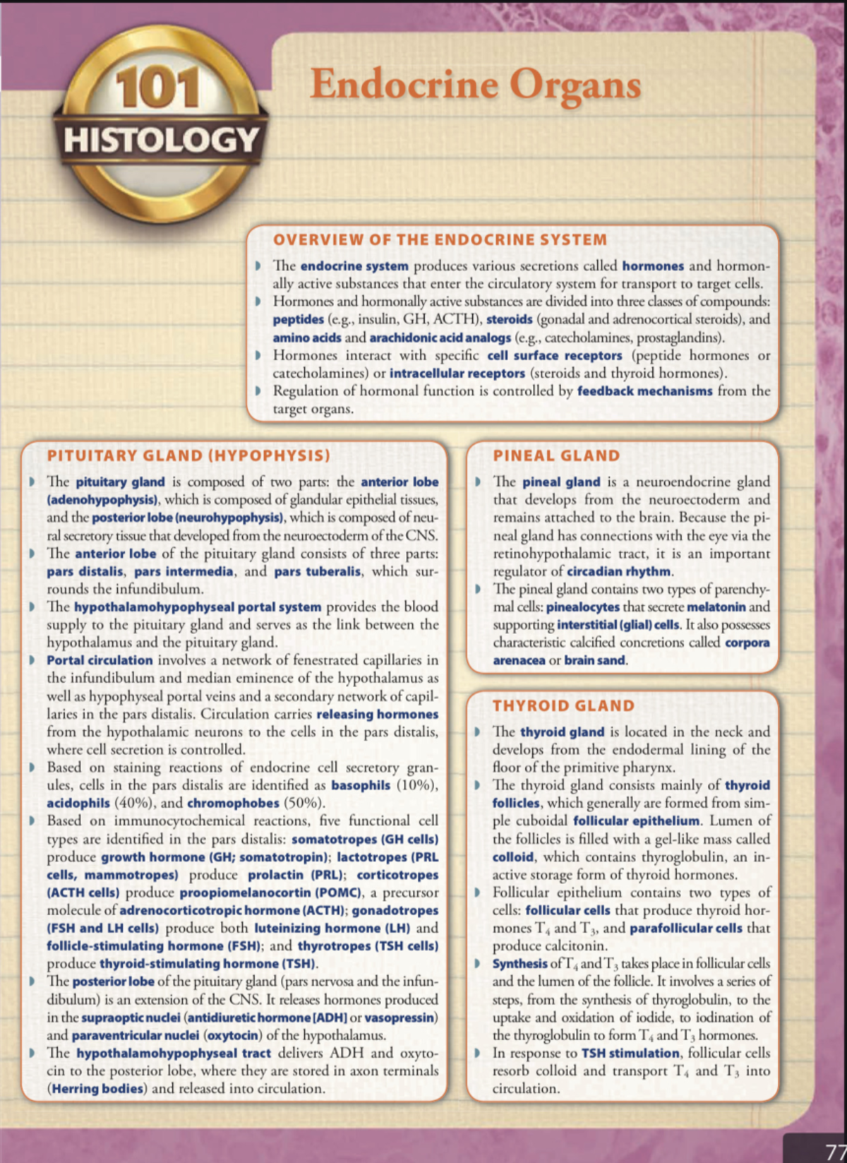 Histology- Endocrine-IMP - 101 Endocrine Organs HISTOLOGY OVERVIEW OF ...