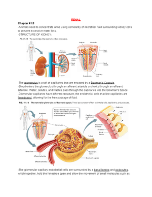 MC 3 Reflection - Multiple-choice reflection template Choose one ...