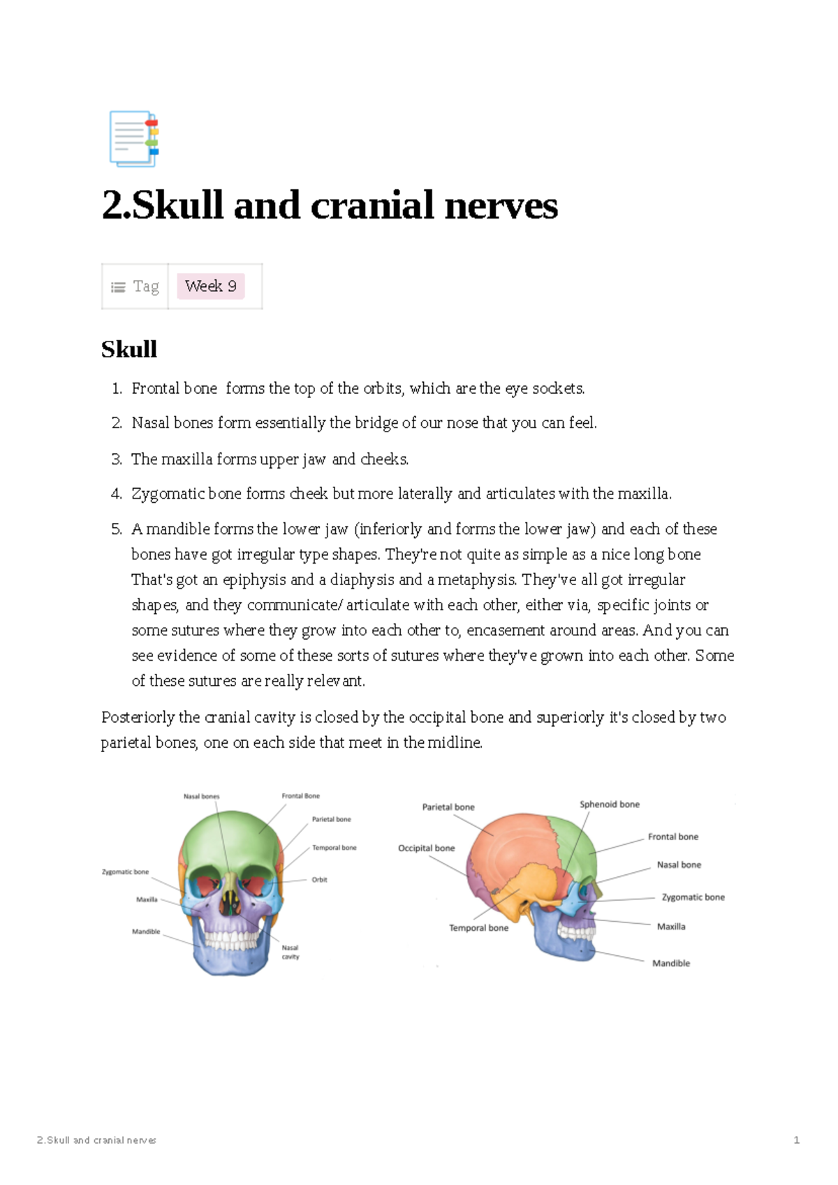 Skull and cranial nerves - 2 .Skull and cranial nerves Tag Week 9 Skull ...