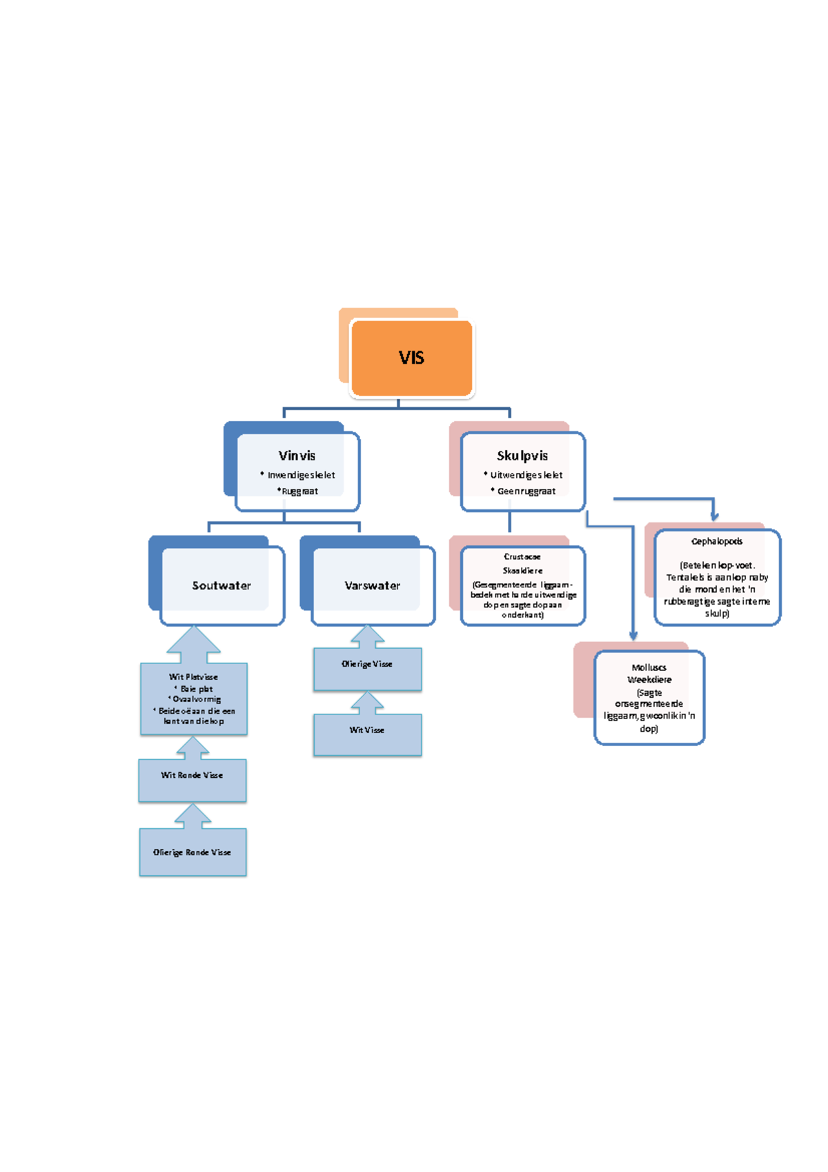 Visorganogram - VIS Vinvis * Inwendige skelet *Ruggraat Soutwater ...