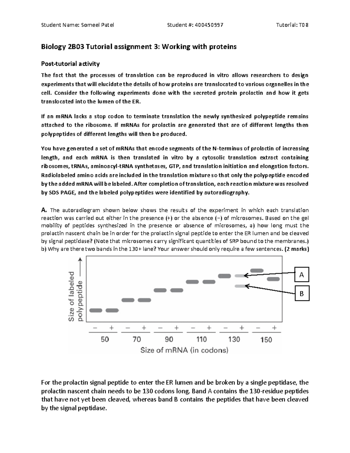 F23 Bio 2B03 Assignment 3 - Working with proteins - Student Name ...