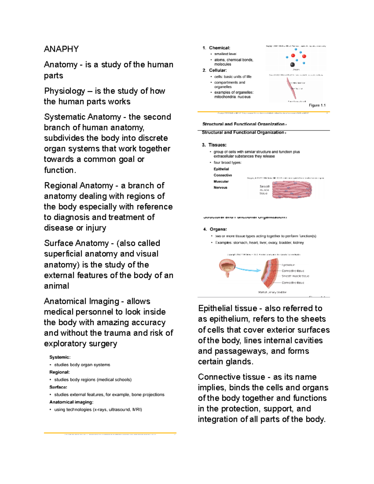 Anaphy - ANAPHY Anatomy - is a study of the human parts Physiology – is ...