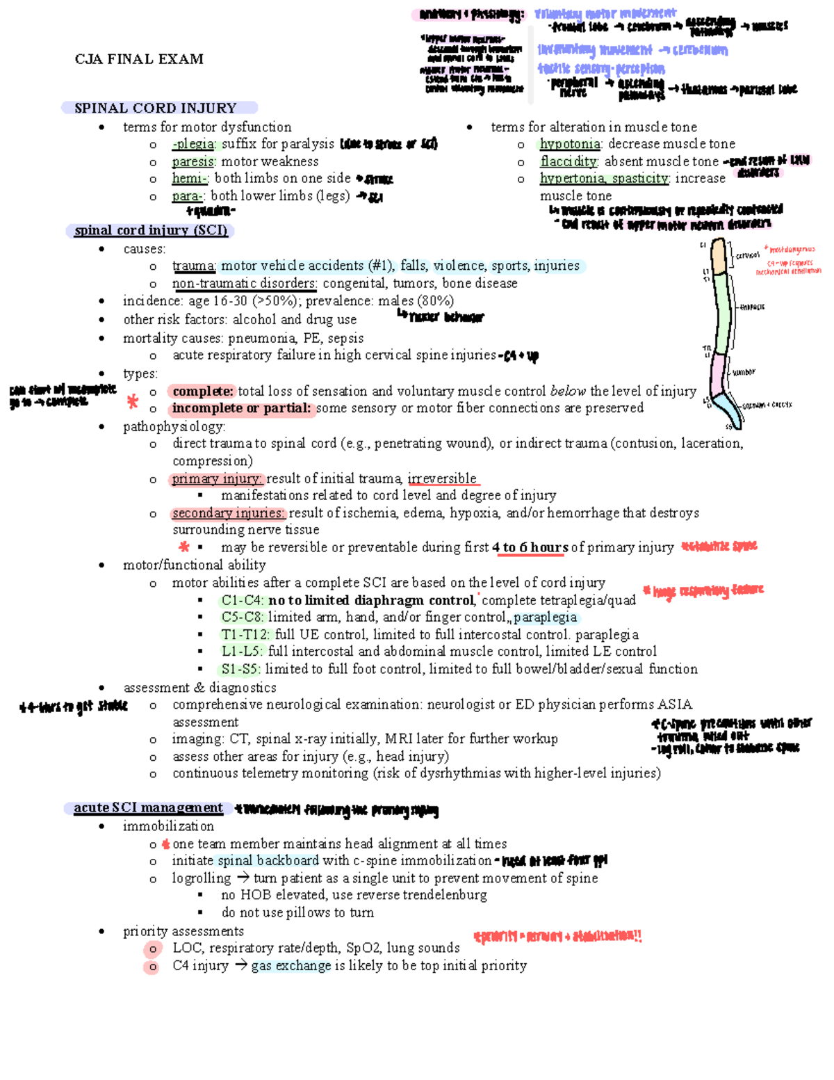 CJA Final Studyguide Notes CJA FINAL EXAM SPINAL CORD INJURY Terms cja-final-studyguide-notes-cja-final-exam-spinal-cord-injury-terms