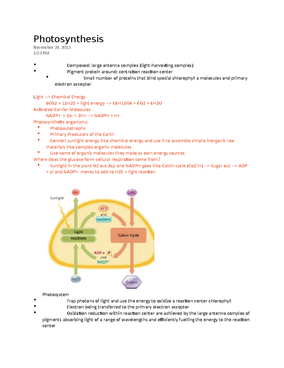 Photosynthesis - THIS NOTE CONSISTS OF LECTURE SLIDE, IN CLASS TIPS AS ...
