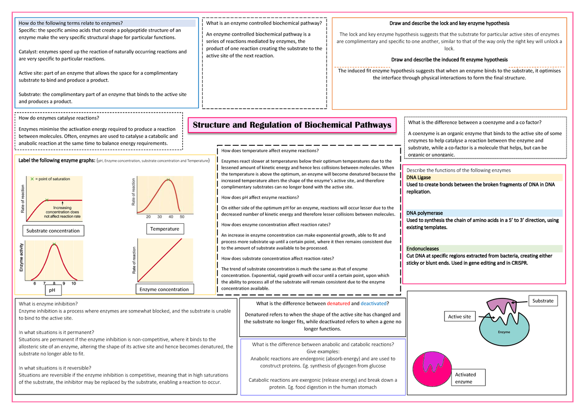 Unit 3 AOS1 Enzymes - Structure and Regulation of Biochemical Pathways ...
