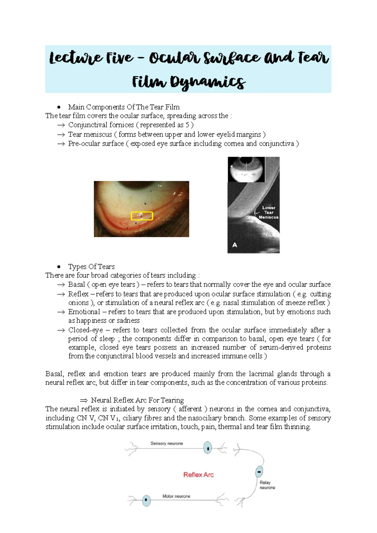 Lecture 5 - Lecture Five – Ocular Surface And Tear Film Dynamics Main ...