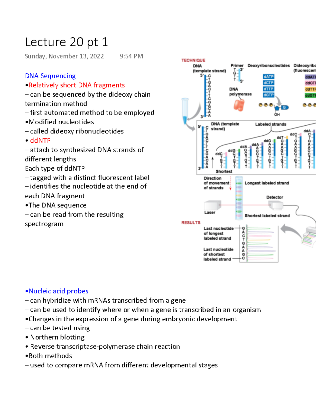 Lecture 20 pt 1 - DNA Sequencing • Relatively short DNA fragments – can be sequenced by the ...