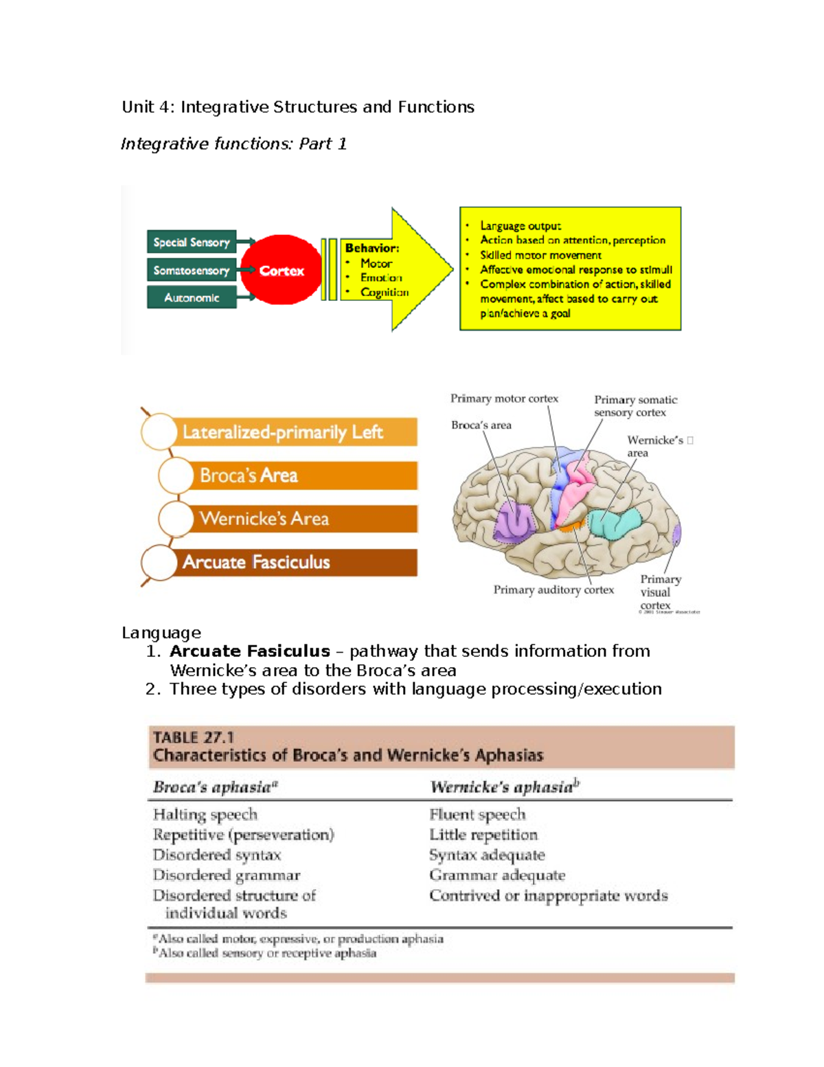Unit 4 lecture notes - Unit 4: Integrative Structures and Functions ...
