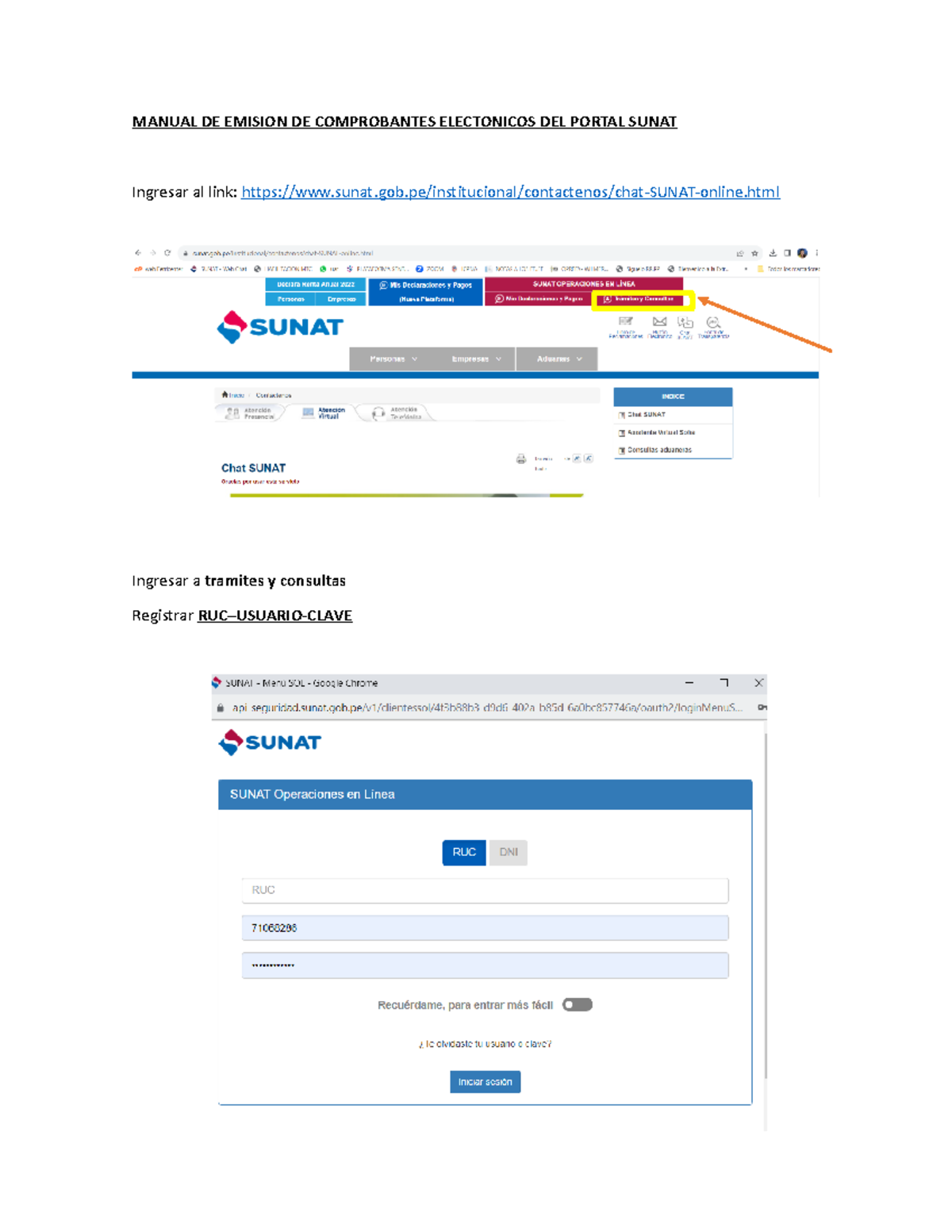 Manual DE Emision DE Comprobantes Electonicos DEL Portal Sunat - MANUAL ...