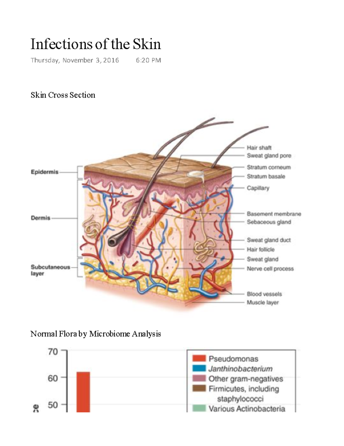 MIC205 - Infections of the Skin - Infections of the Skin Thursday ...