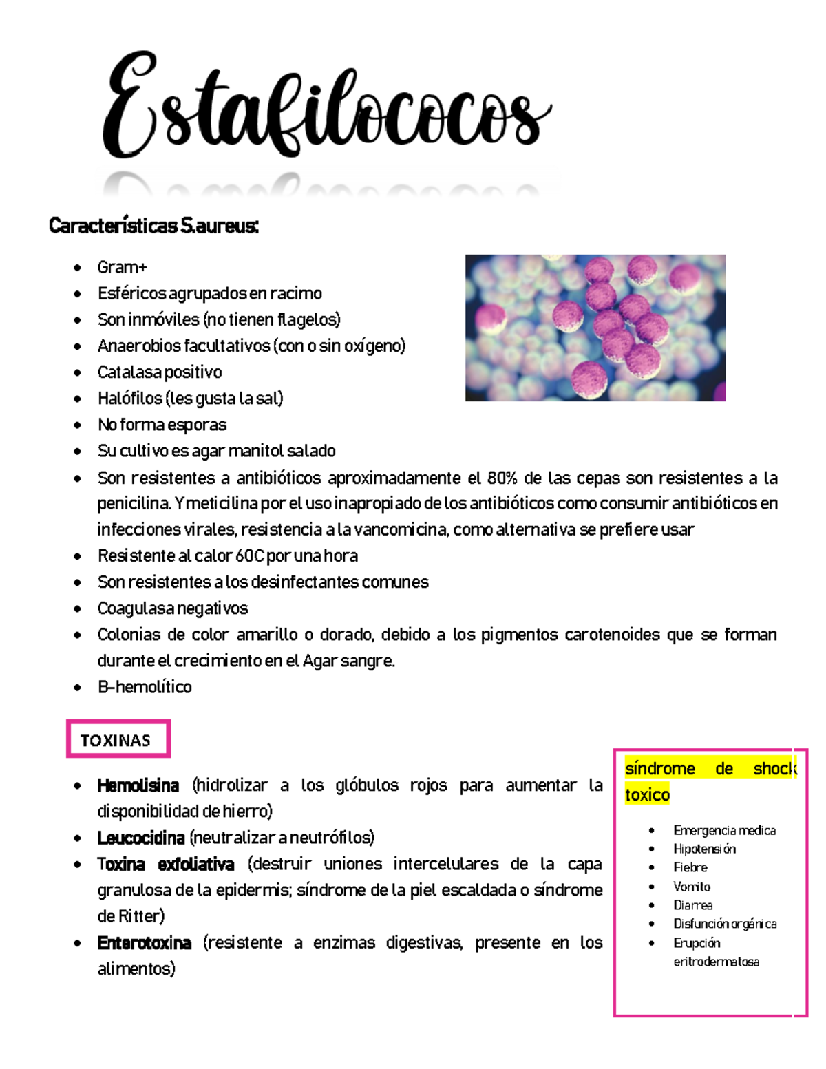 Estafilococos A - Características de Estafilococo - Warning: TT ...